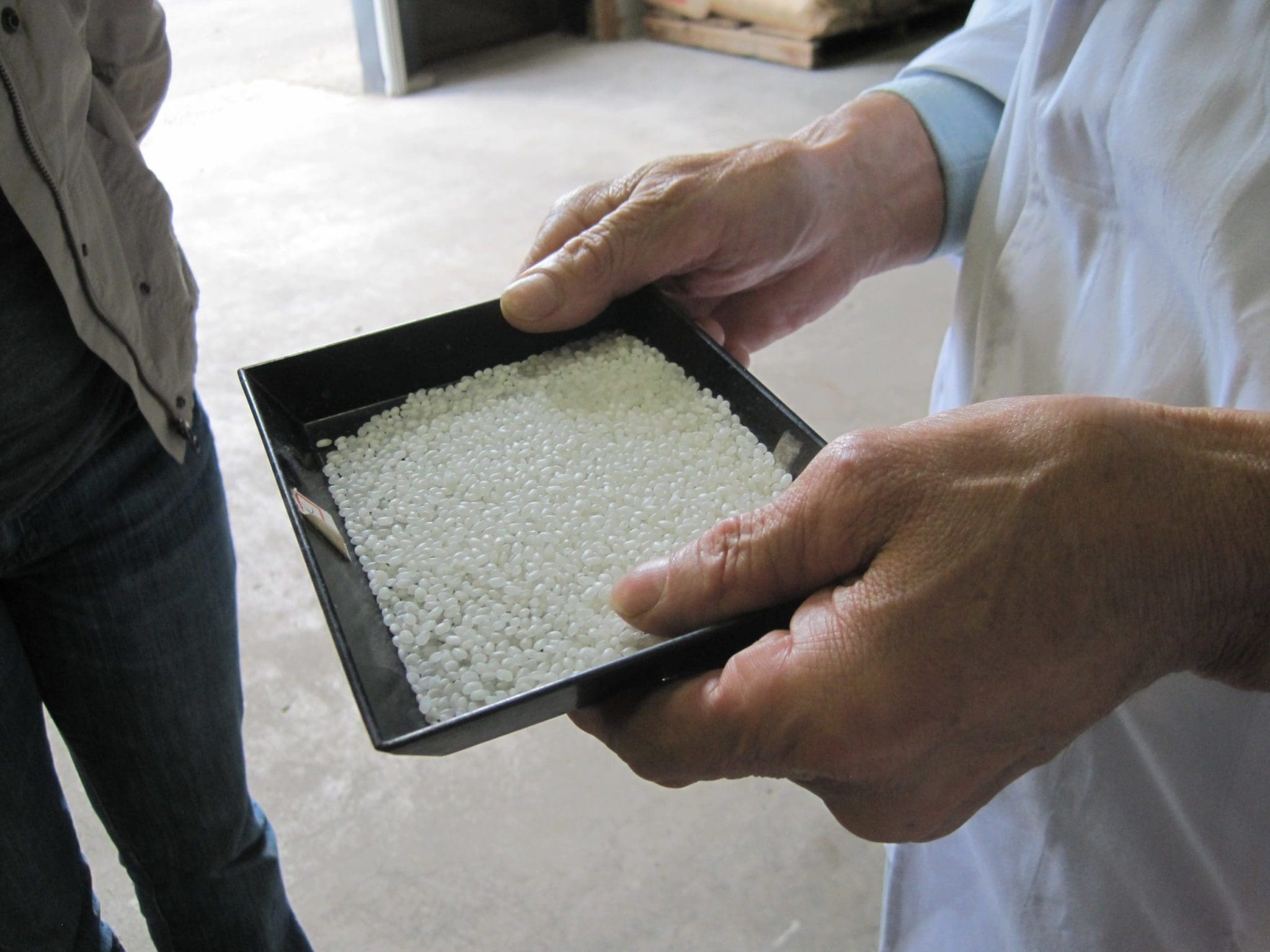 Sake Education - Joto Sake