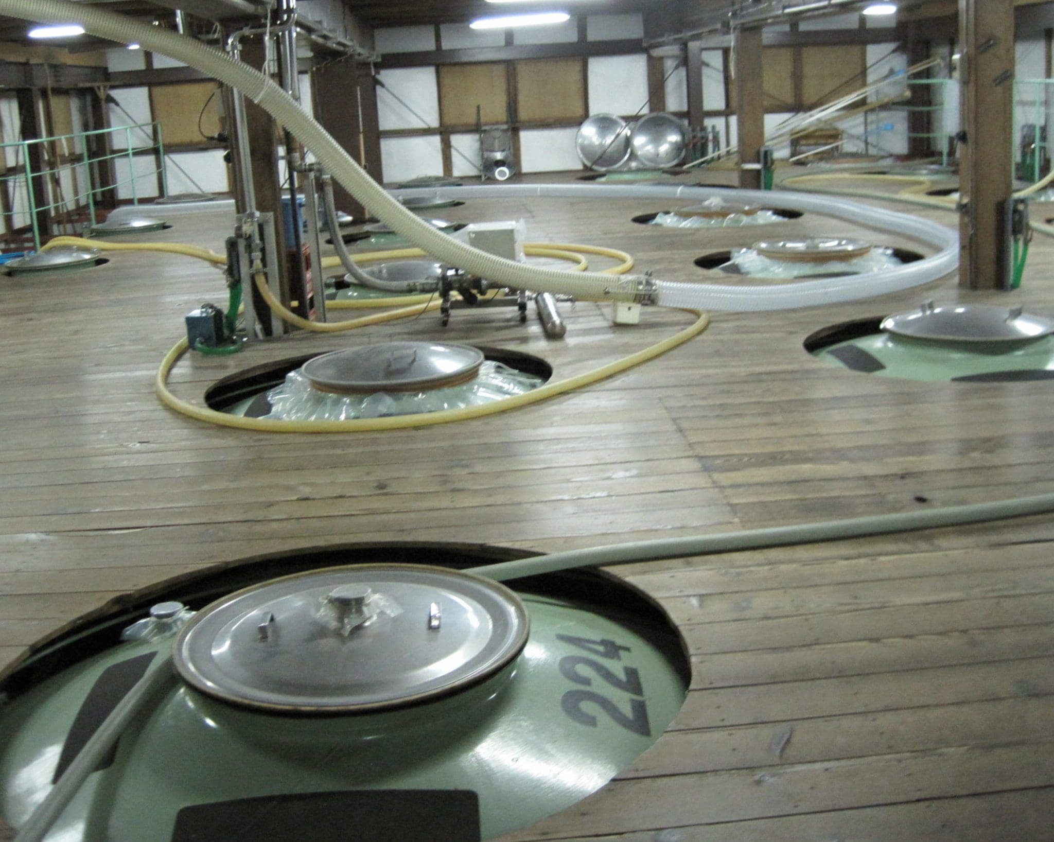 Fermentation - Moromi - Joto Sake