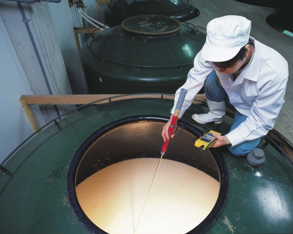 Fermentation - Moromi - Joto Sake