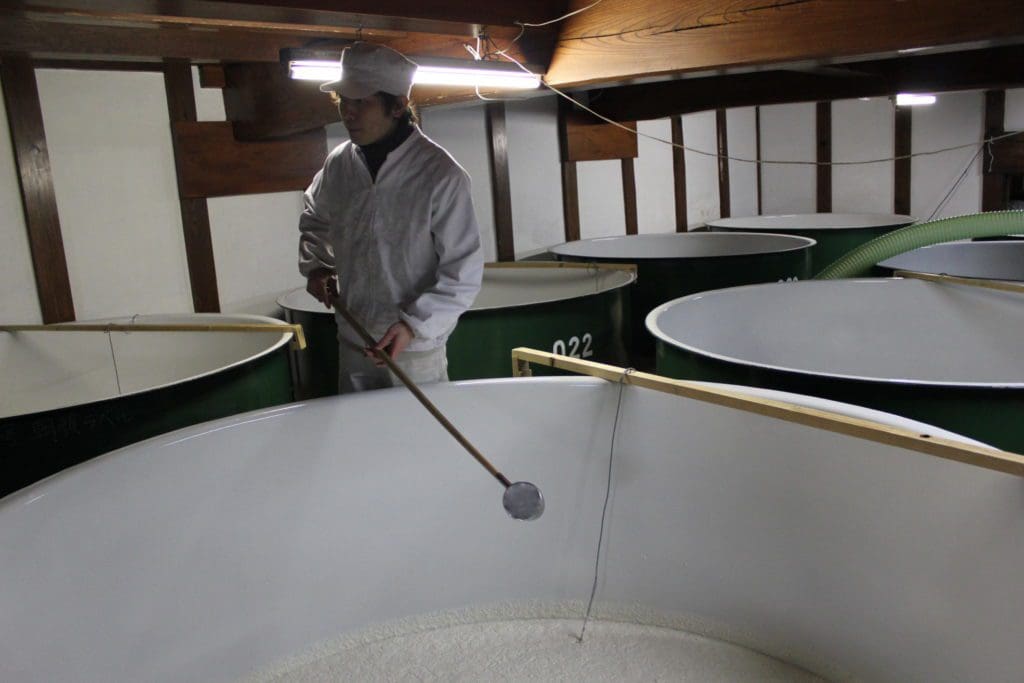 Fermentation - Moromi - Joto Sake