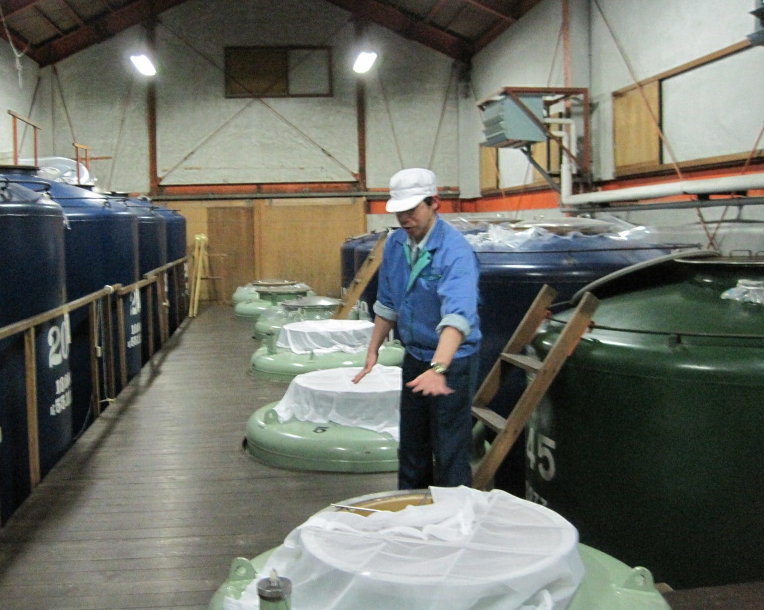 Fermentation - Moromi - Joto Sake